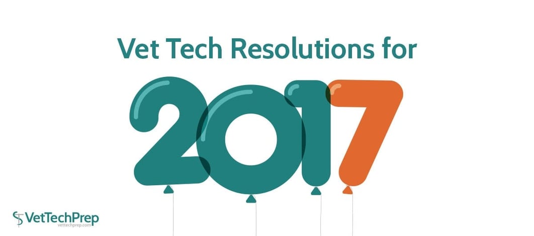 Vet Tech Resolutions for 2017!